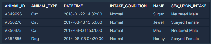 [프로그래머스/SQL] Lv1. 모든 레코드 조회하기