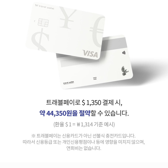 트래블월렛 Vs 트래블로그 장단점 비교