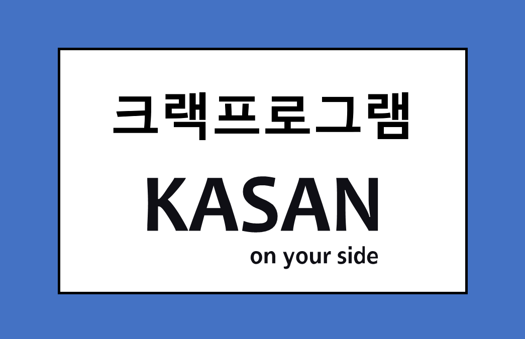 Kasan Insight 과학 기술 그리고 법 프로그램 불법복제 적발 기존 개인사업체 폐업 후 신규 회사법인 설립