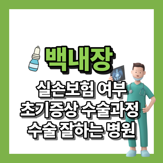백내장수술 실손보험 초기증상 수술과정 잘하는 병원 자연치유