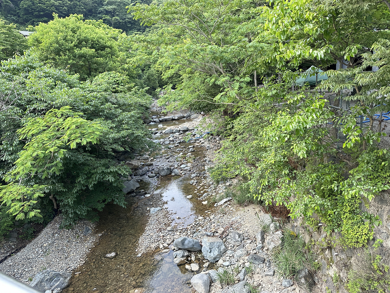울산 배내골 펜션 철구소 평상이 있는 계곡 추천 이치방 하우스 네이트뷰