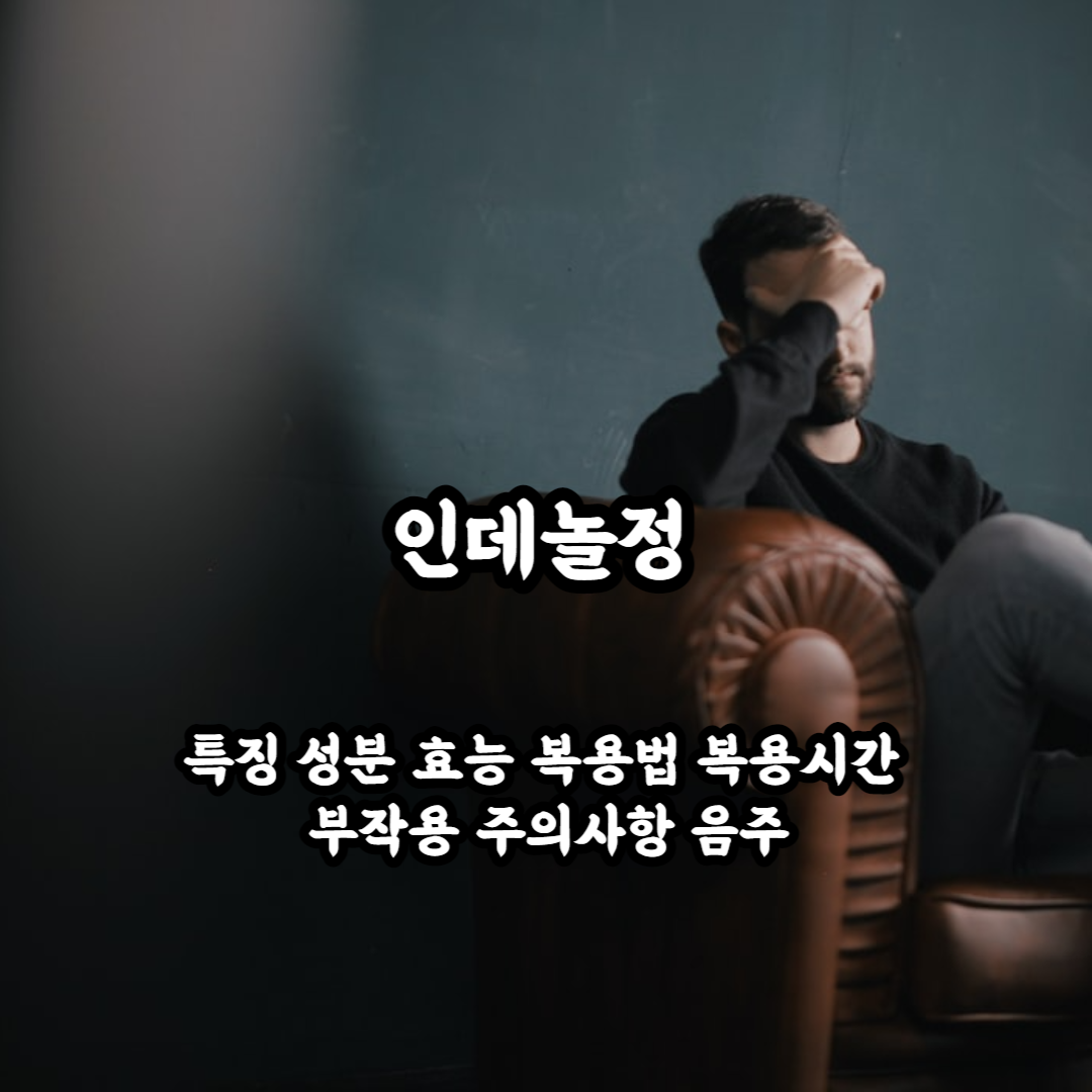 인데놀 특징 성분 효능 용법 용량 음주 복용시간 처방 이상반응 주의사항에 대해 알아보자