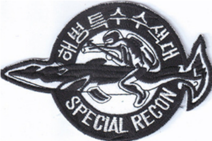 한국 특수부대 알아보기 | SSU, 수색대, UDT, 868, 707