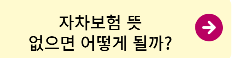 제주도 렌트카 자차보험 알아보고 선택하세요 완전자차 슈퍼자차 일반자차 차이 비용