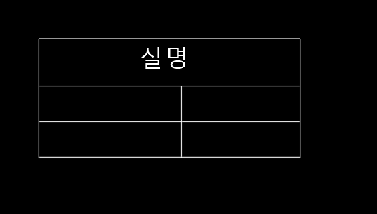 캐드 꿀팁 고급속성 만들기 1 실명버블구조