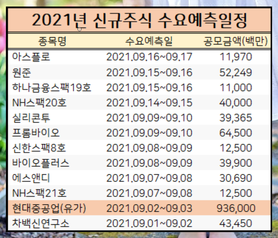 2021년 9월 공모주 청약일정추천 상장주 해피크린