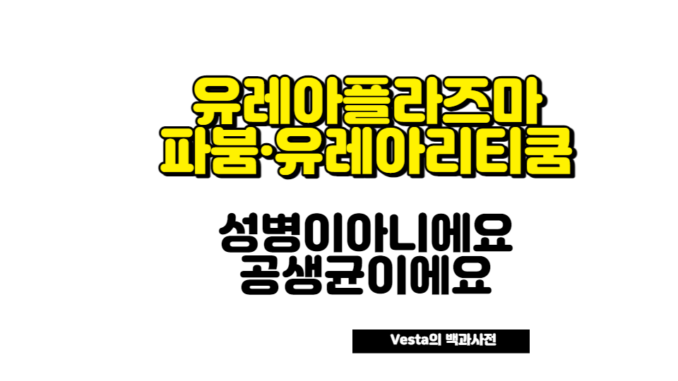 유레아플라즈마 파붐 과 유레아플라즈마 유레아리티쿰 원인과 남성·여성에 따른 증상비교 및 치료방법 안내feat유레아플라즈마