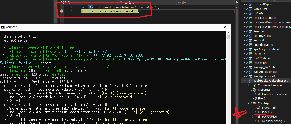 [ASP.NET Core 6] 비주얼 스튜디오에서 'NPM' 프로젝트 디버깅 - 웹팩(webpack) 연결