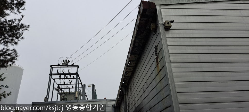 공장 지붕 누수 빗물받이 제작 교체 판넬 강판 실리콘 코킹 보수 공사