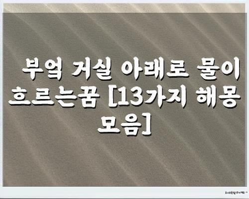 부엌 거실 아래로 물이 흐르는꿈 13가지 해몽모음