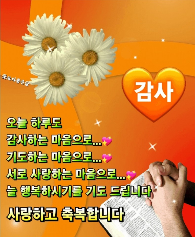 행복한 노년을 위한 감사 글귀 모음 감사그림 이미지 감사하는 마음으로 살자