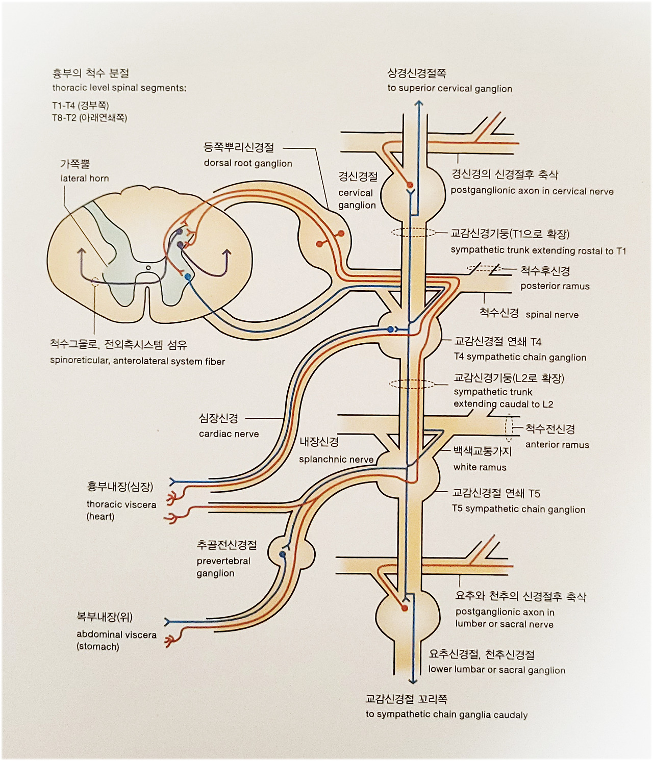 지각은 사람마다 고유한 창조적 과정