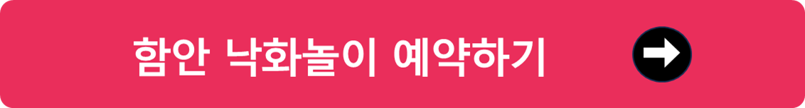 2025 함안 낙화놀이 완벽 정리: 예약 방법, 현장 팁, 놓치면 후회!