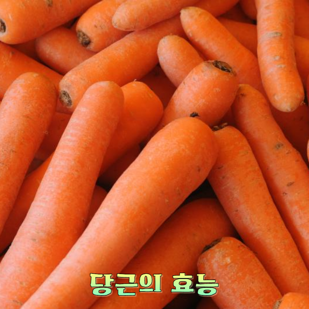 당근의 효능 영양성분 고르는법 부작용