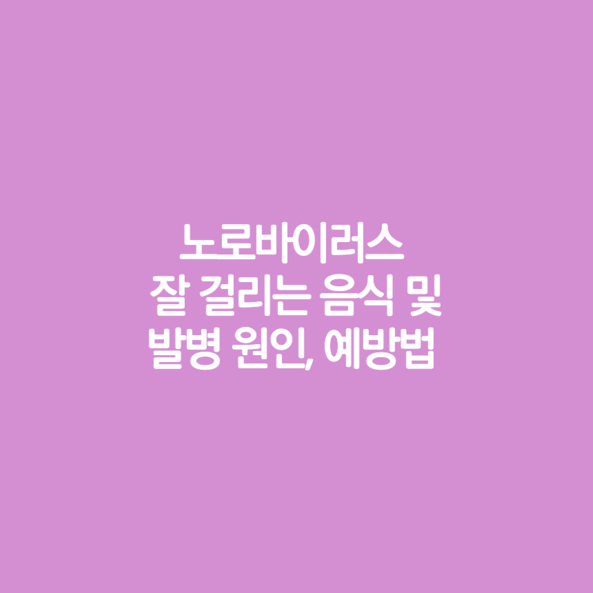 노로바이러스 잘 걸리는 음식 및 발병 원인 예방법