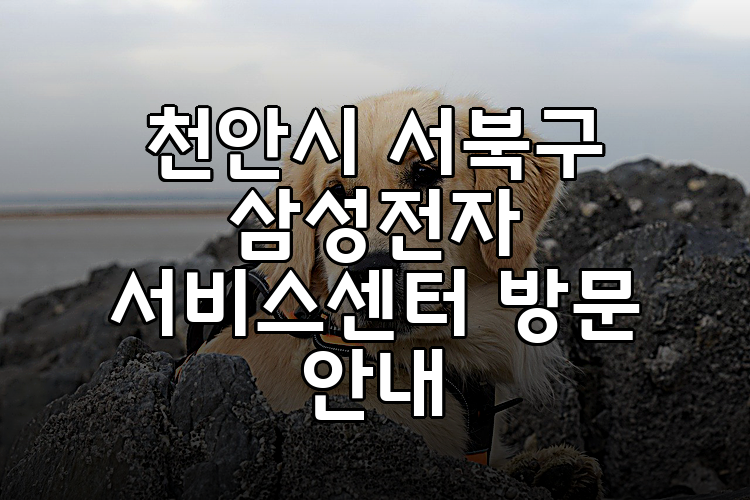 천안시 서북구 삼성전자 서비스센터에서의 핸드폰 수리 및 As 예약 안내