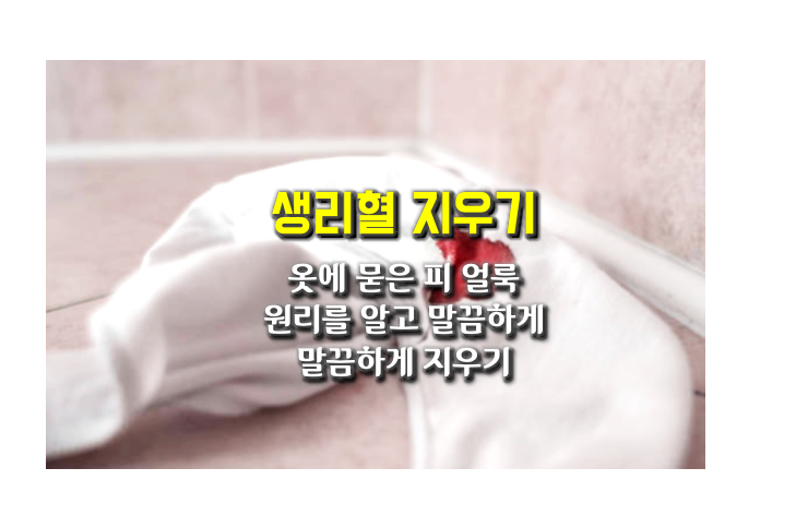 생리혈 지우기 피 얼룩 지우기