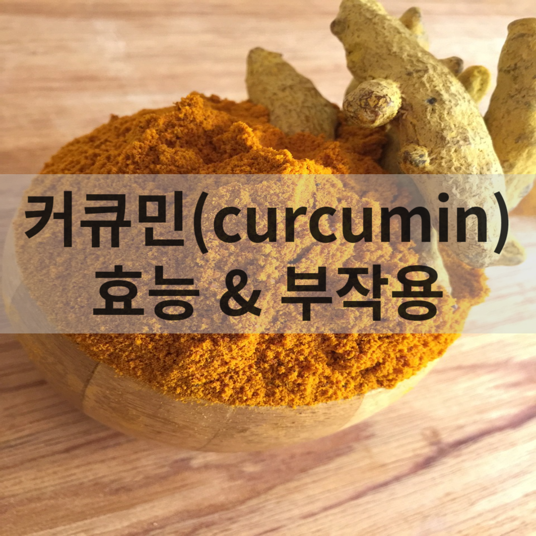 커큐민curcumin 효능 및 부작용 복용 방법