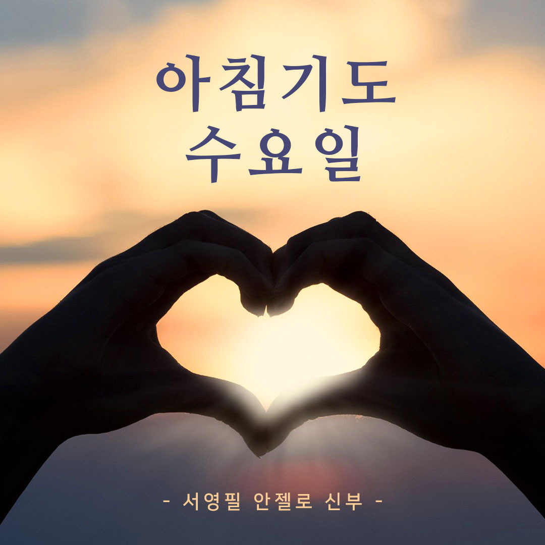 아침기도 수요일 서영필 신부