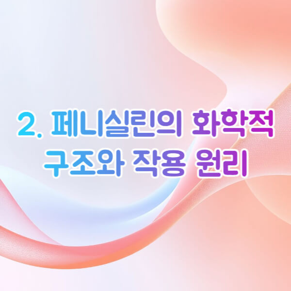 페니실린 발견 역사 구조 작용 원리 종류 발전 알레르기 부작용 내성