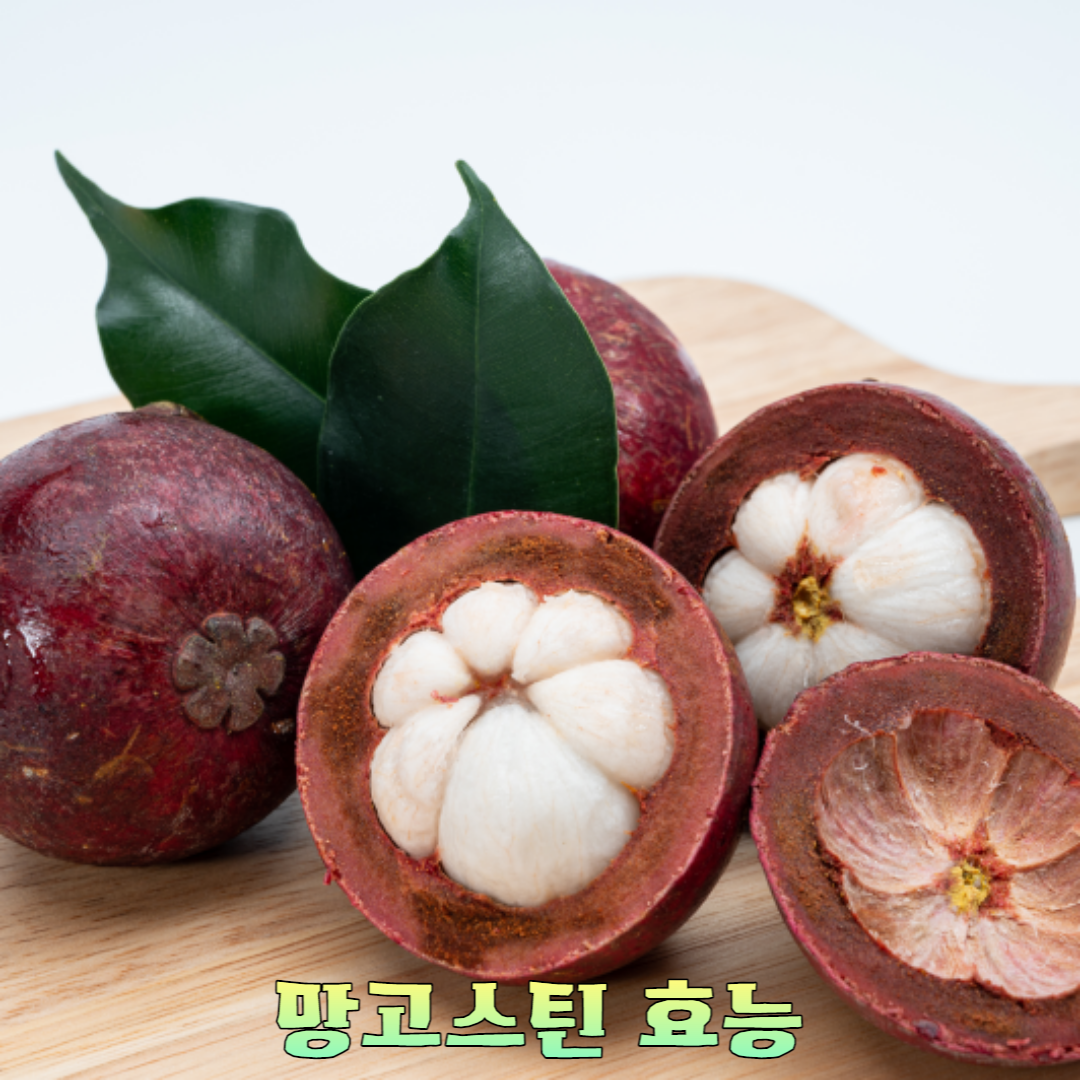 망고스틴 효능 영양성분 부작용