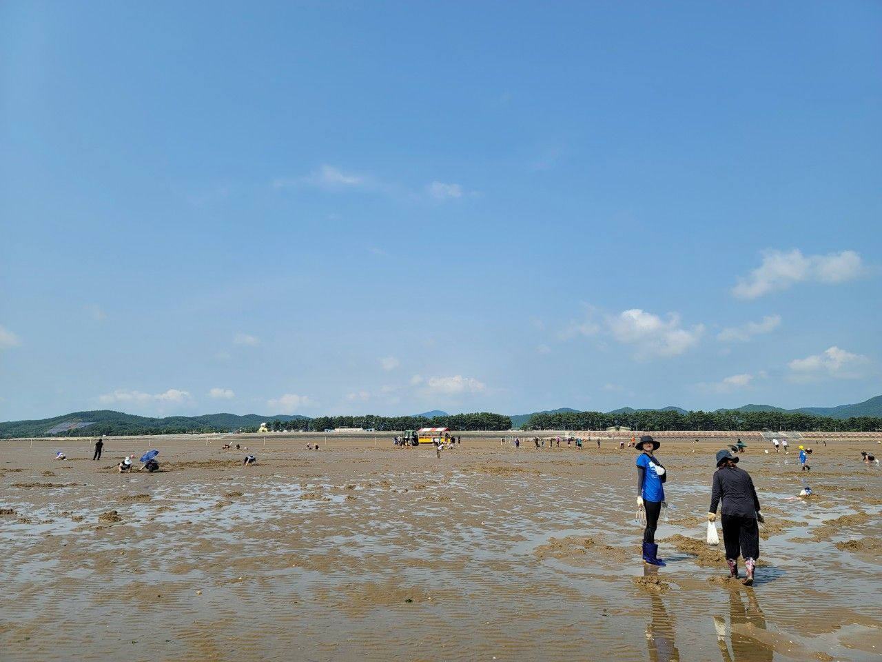 충남 서천 비인면 선도리 갯벌체험장 조개캐기 색다른 여름 체험 추천