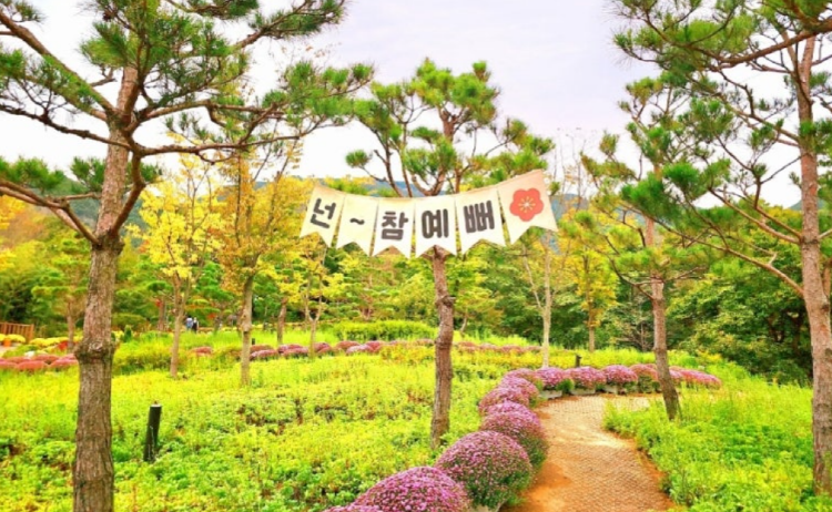 옥정호 출렁다리 임실 붕어섬 생태공원 여행