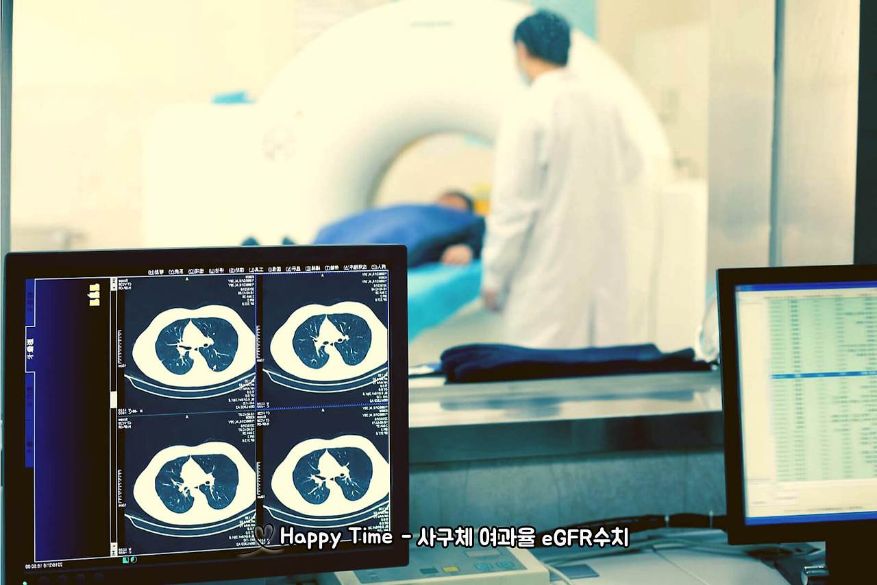 신장기능평가 사구체 여과율 Egfr 수치 계산방법과 정상 범위