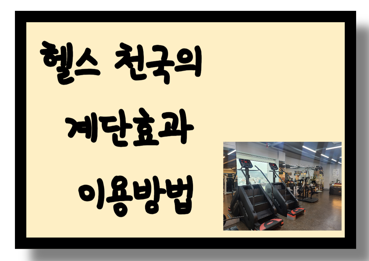 헬스 천국의 계단 효과 이용방법