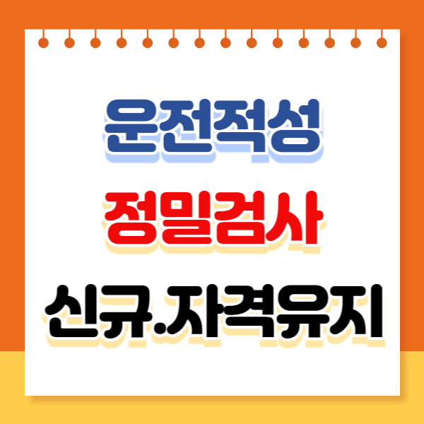 운전적성정밀검사 신규 자격유지 특별검사 유효기간 판정표 재발급