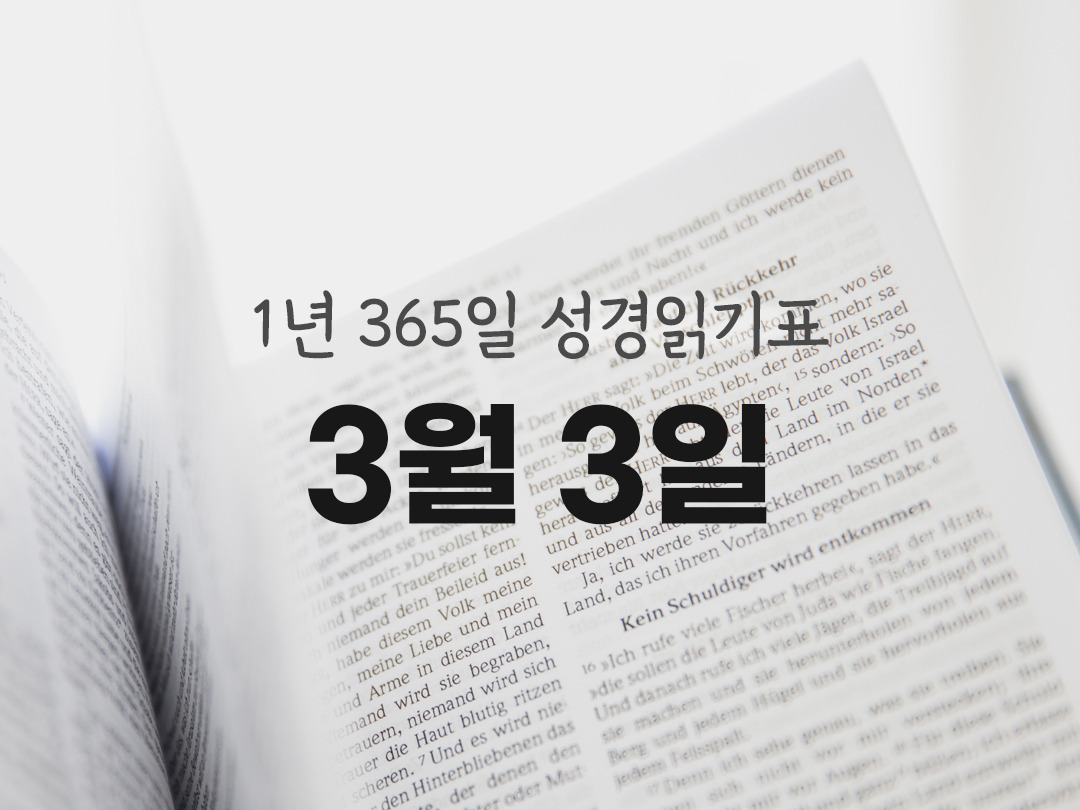 피어나네