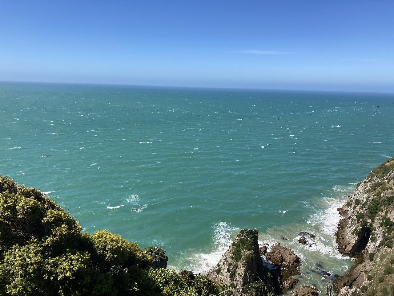 오션뷰의 끝판왕 너겟 포인트 Nugget Point 소름주의 뉴질랜드 남섬