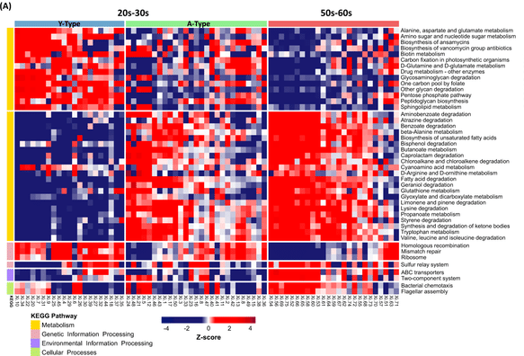 [pheatmap] PICRUSt2결과 aldex2분석 후 heatmap, effect size 그리기 — Bioinfo_newbie