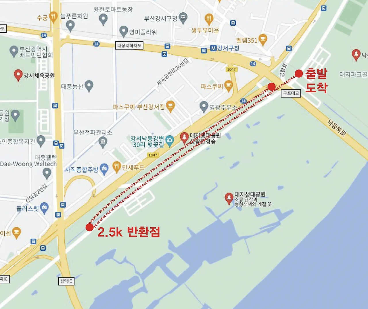 제22회 부산마라톤 2025 참가 신청 및 대회 안내