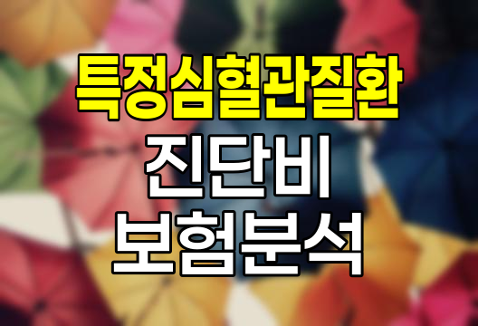 흥국화재 특정심혈관질환 진단비 보험 심장 건강 보장의 핵심 메모리유