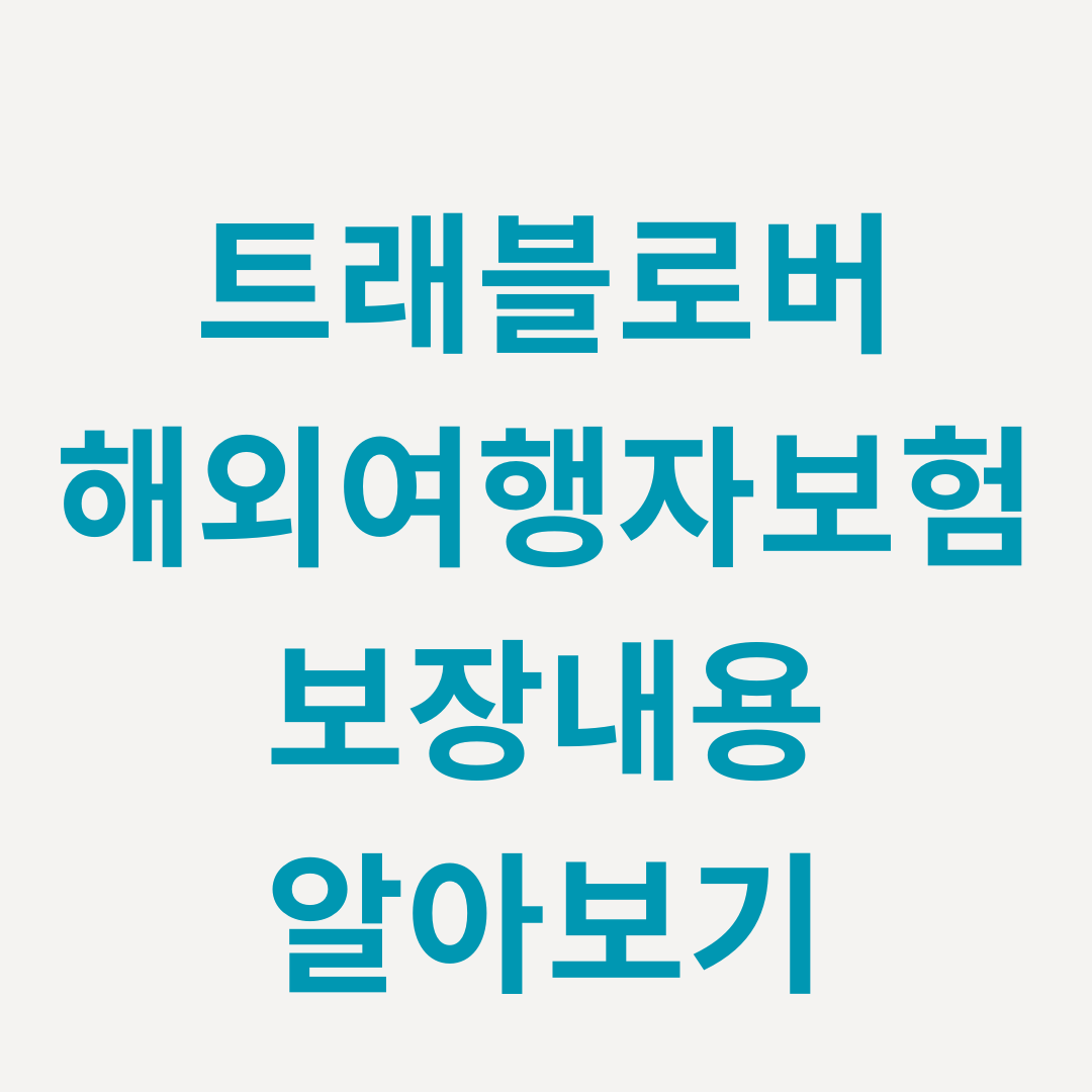 트래블로버 해외여행자보험 특징과 보장내용