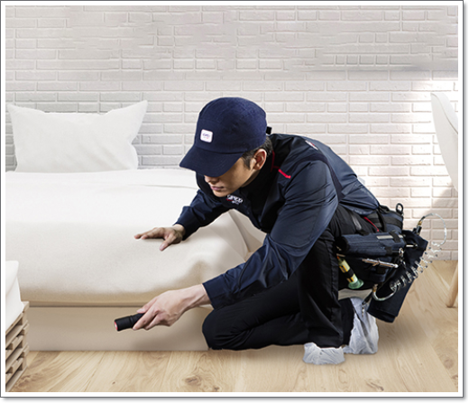 바퀴벌레 세스코 가정집 비용 내돈내산 이용 후기│20평 30평 아파트 면적별 세스코 가격 정보