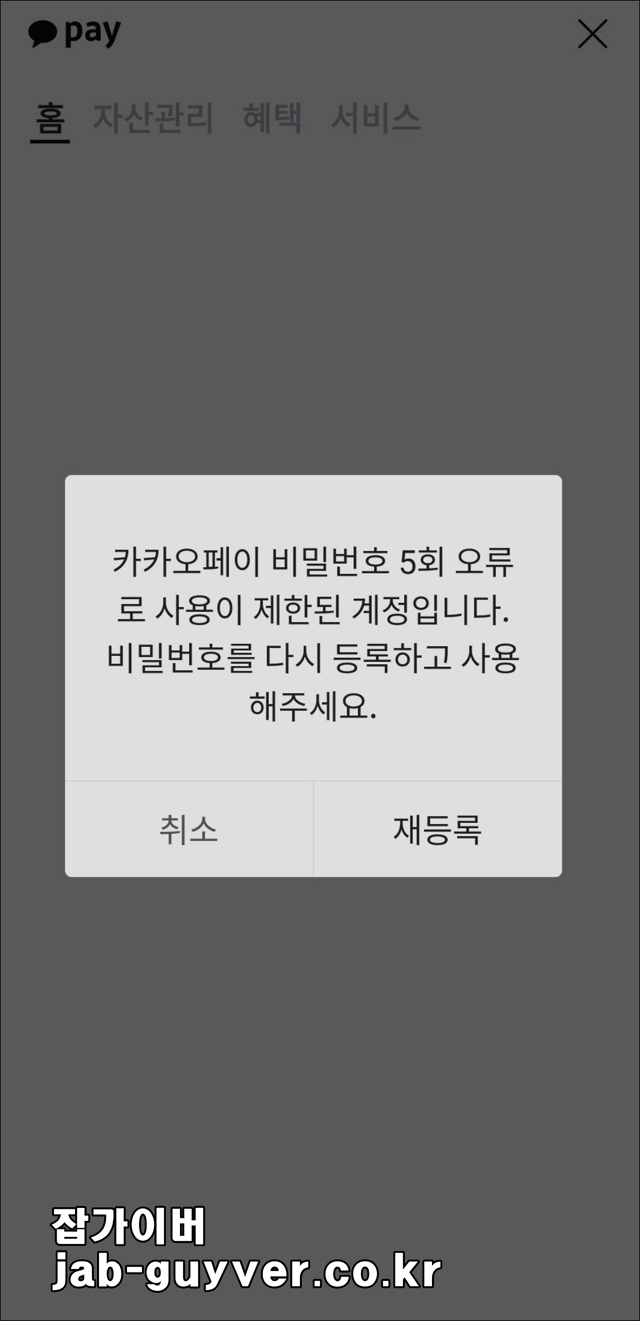 카카오페이 비밀번호 횟수초과 초기화 변경