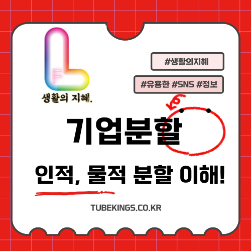 물적 분할과 인적 분할의 차이점 투자자가 알아야 할 필수 정보