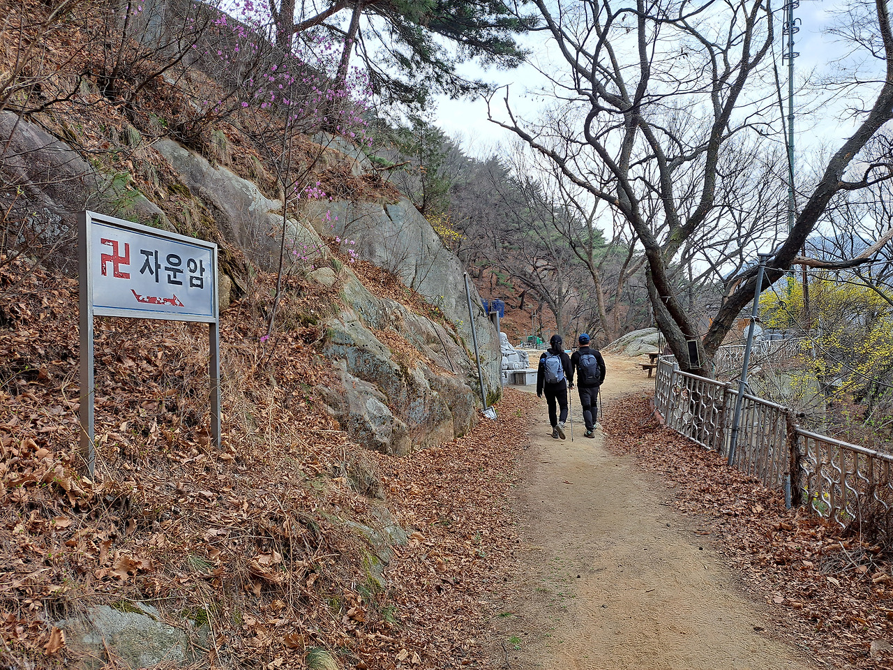 관악산 등산코스 수영장 능선 자운암 능선