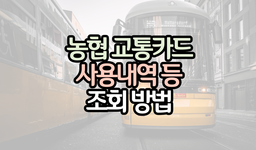 농협 교통카드 교통비 및 사용내역 조회 방법feat 농협카드 어플