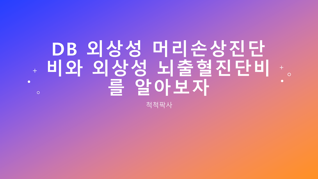 Db 외상성 머리 손상 진단비와 주요 상해 뇌출혈 진단비를 알아보자