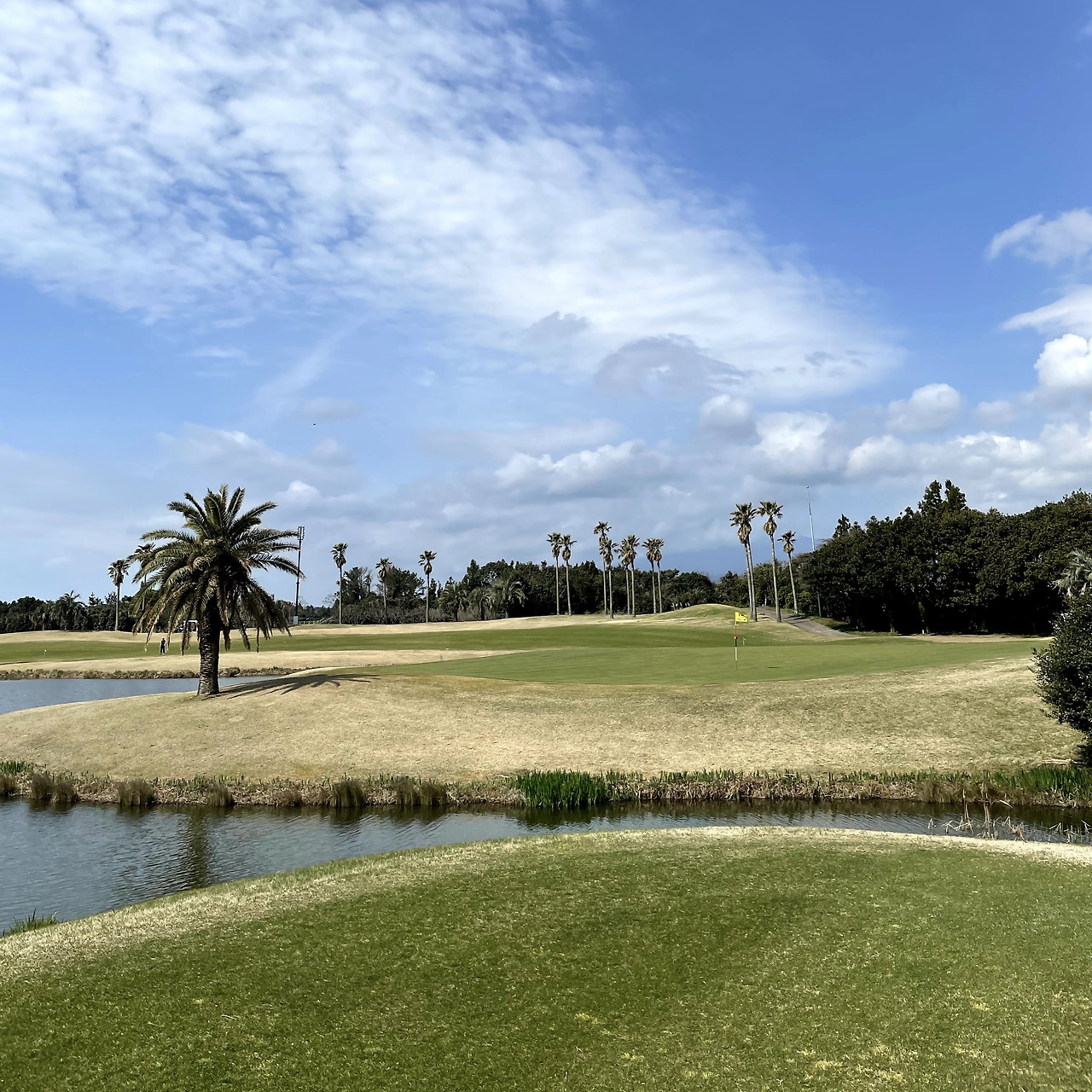 샤인빌파크CC 골프장 방문후기 (Shineville Park Country Club)