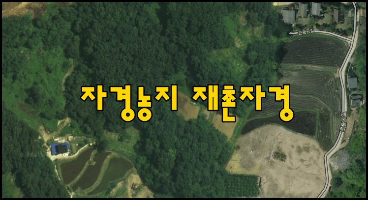 자경농지 재촌자경 8년 양도소득세 감면 면제