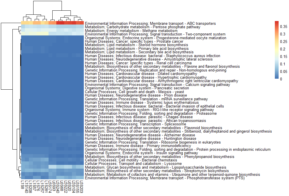 [pheatmap] PICRUSt2결과 aldex2분석 후 heatmap, effect size 그리기 — Bioinfo_newbie