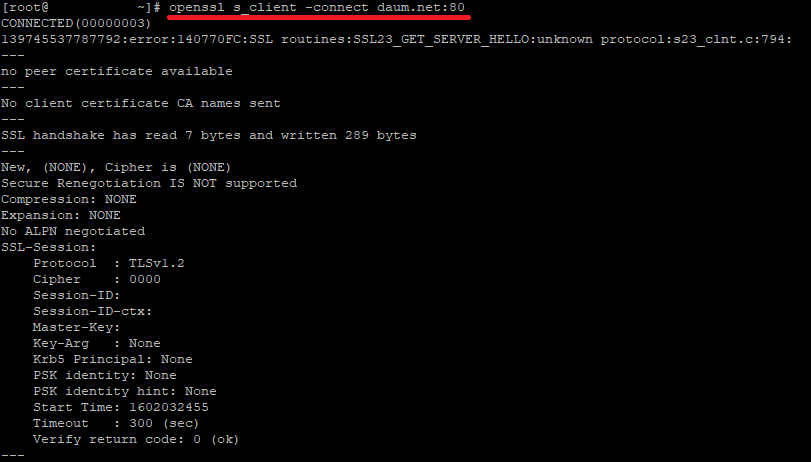 openssl s_client 명령어를 사용하여 SSL, TLS버전 확인