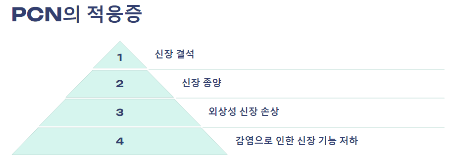PCN 의학용어 의미 시술 과정 적응증 장,단점 주의사항!