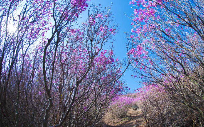 삼천포 제주도 배편 여객선 시간표 요금 차량선적 등 3분 총정리