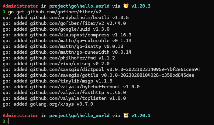 go fiber 'Hello World' 프로젝트 시작