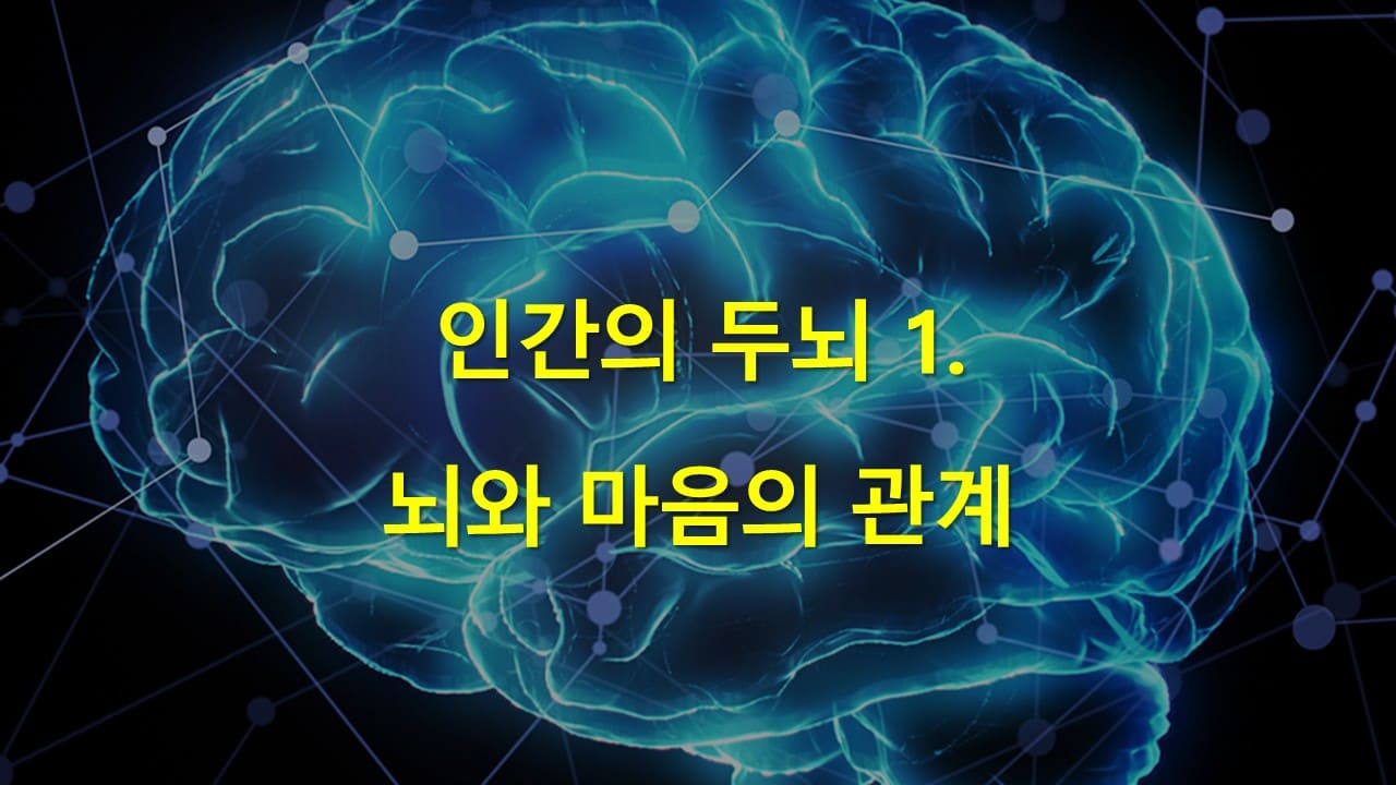 인간의 두뇌 1 뇌와 마음의 관계 현대 신경과학적 관점에서 바라본 정신의 거처